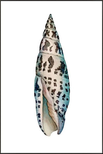 Fine Art Giclees – Page 4 – Jackie Von Tobel